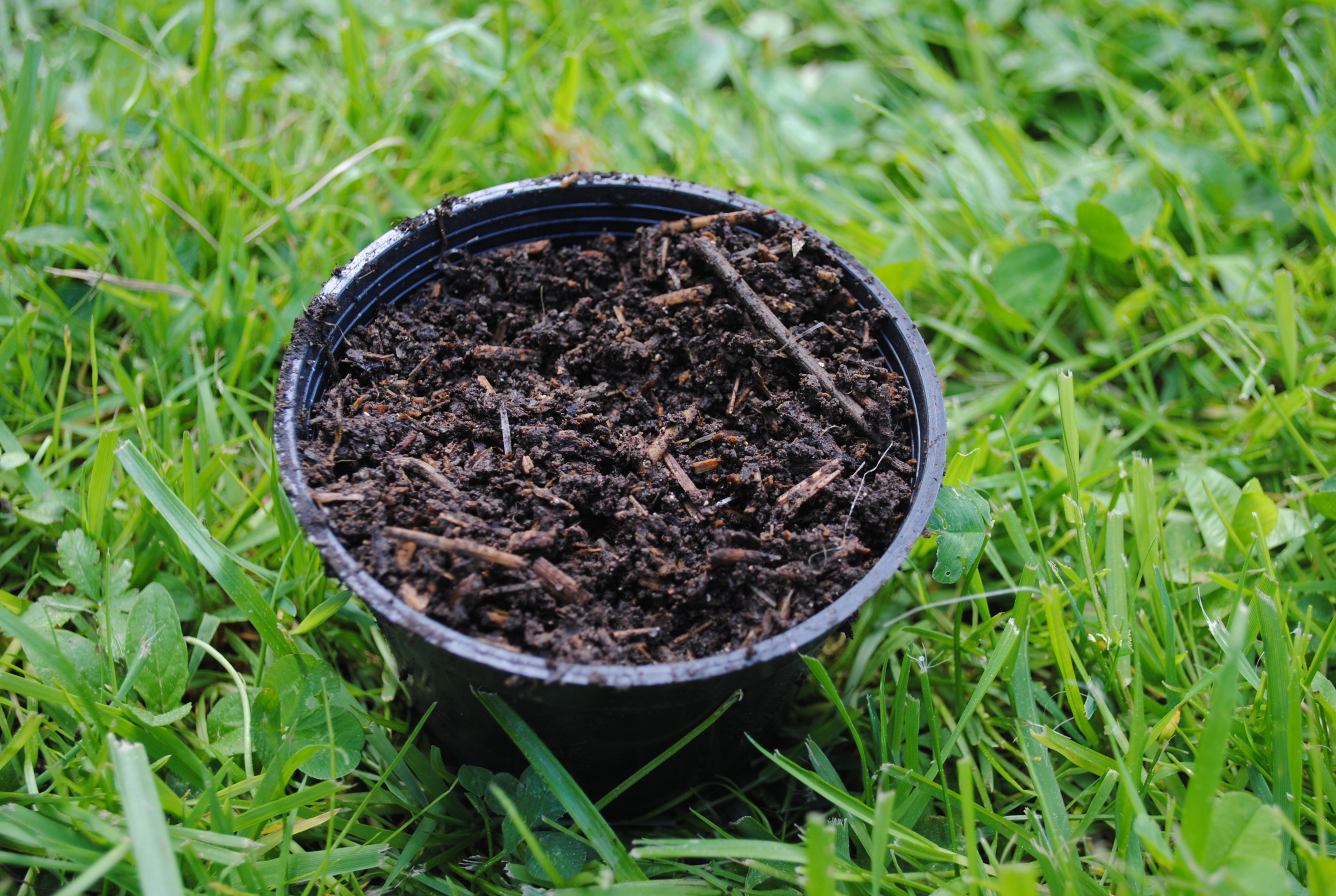 Spring is time for compost assessments / Pomlad je čas vrednotenja ...